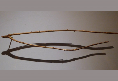 Dowsing Rods: Magic, Myth, or the Mind? | SeeScan